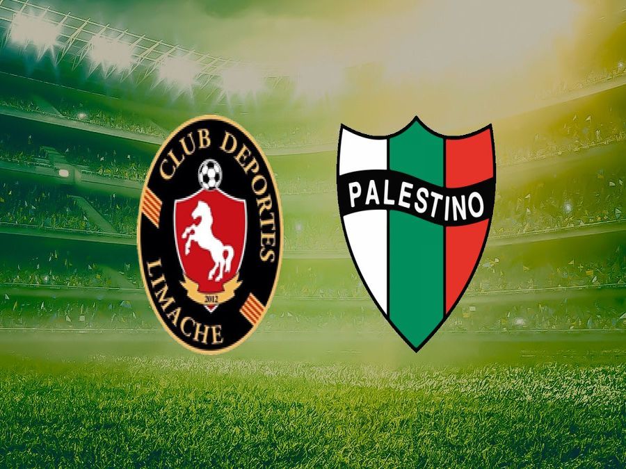 Deportes Limache 0-1 Palestino: resultado, resumen y goles